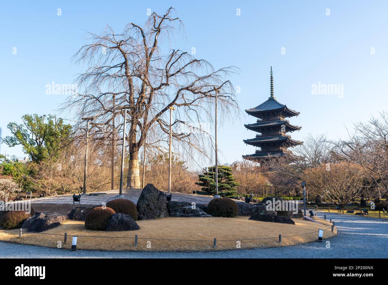 Five storey pagoda of toji temple hi-res stock photography and images ...
