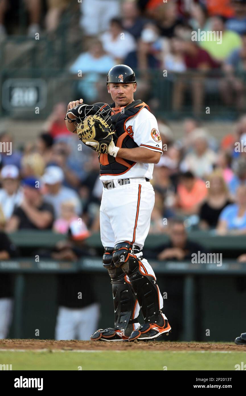 Baltimore Orioles catcher Steve Clevenger (45) during a Spring Training ...
