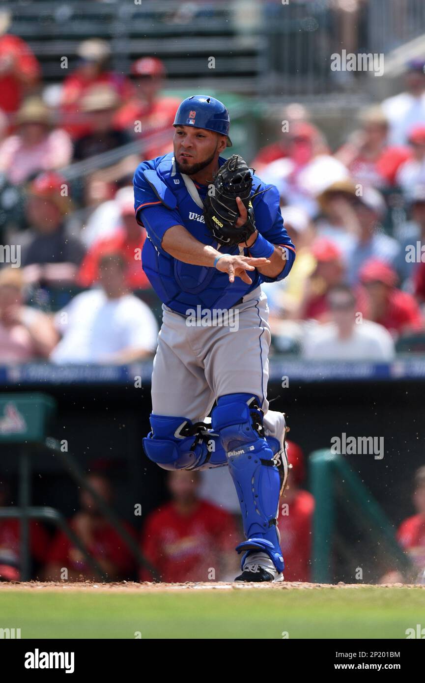 New York Mets catcher Johnny Monell (19) during a Spring Training game ...