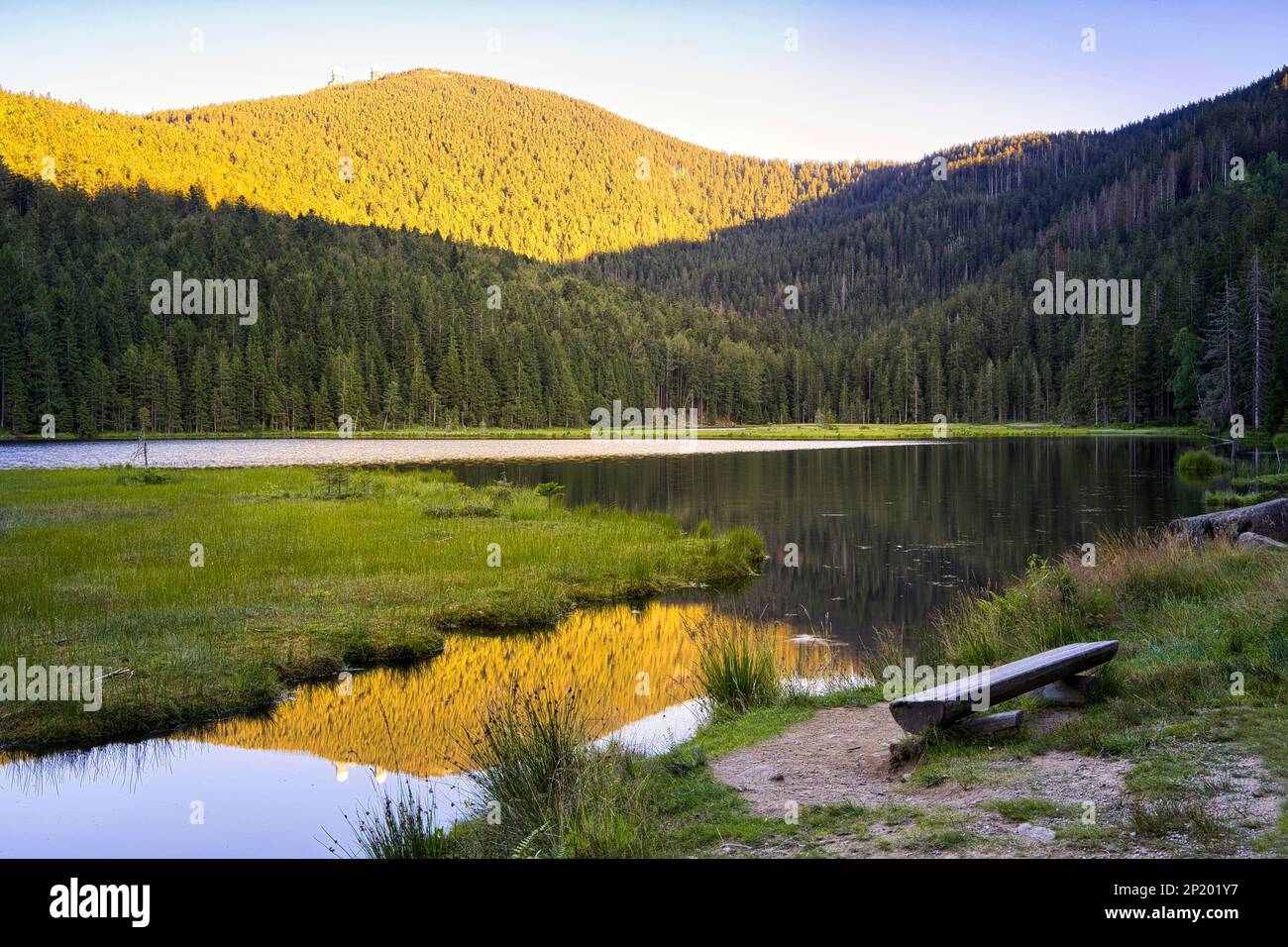 Beautiful lake Kleiner Arbersee with its swimming islands at sunset ...