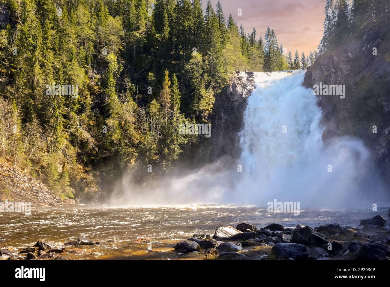 Spring flood at the river Homla located in Malvik municipality , Norway ...