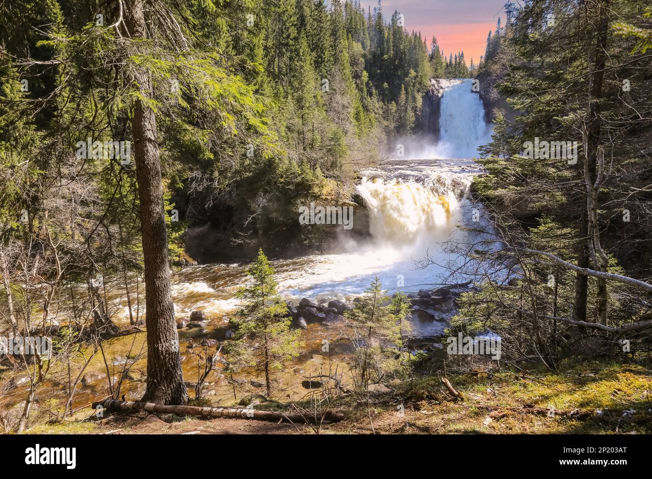 Spring flood at the river Homla located in Malvik municipality , Norway ...