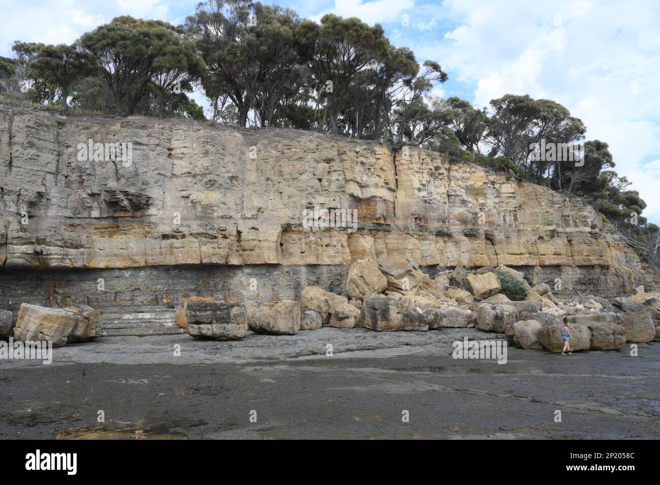 Fossil island at the south end of Pirates Bay, Eaglehawk Neck Neck ...