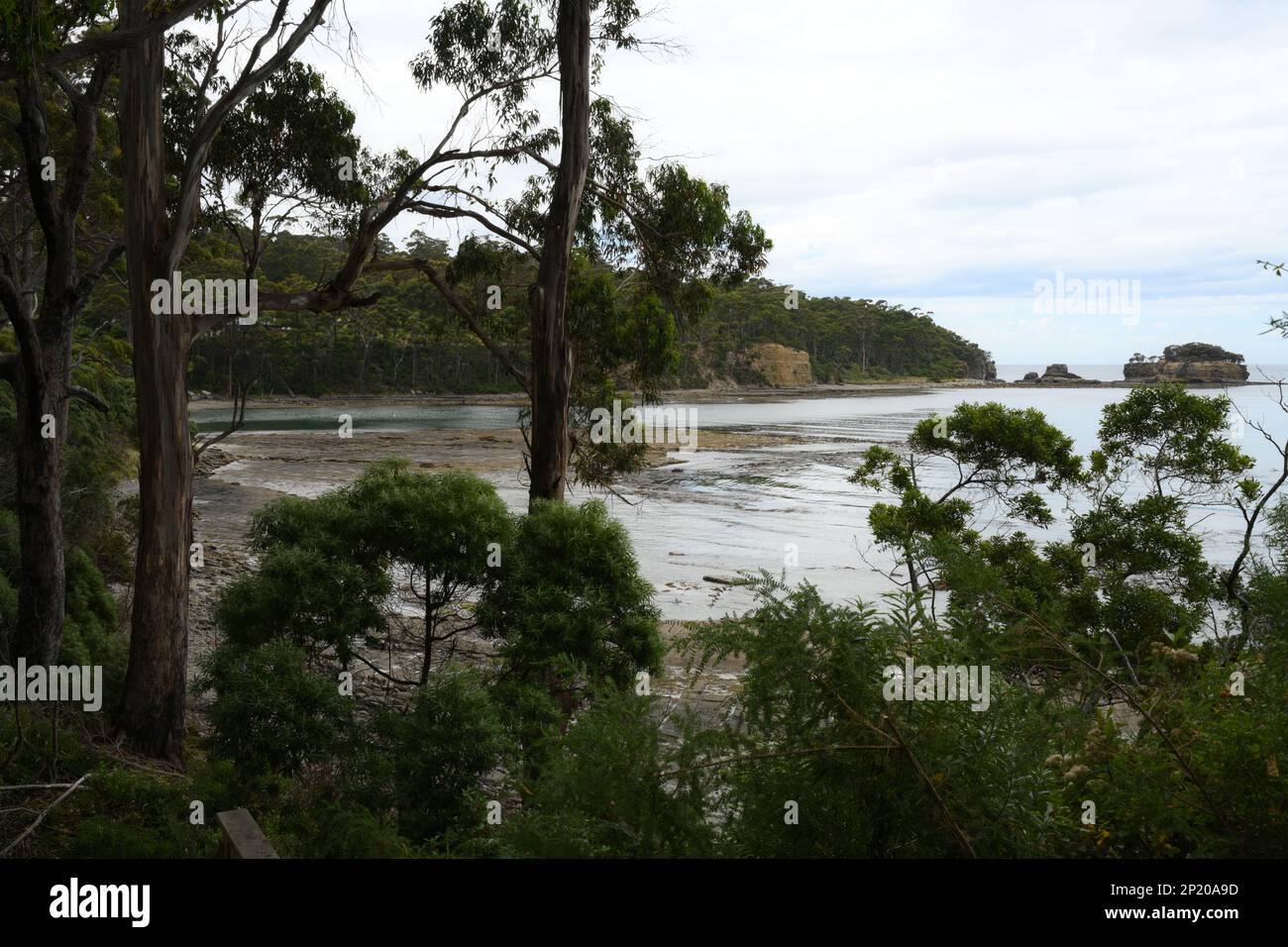 Eagle hawk neck Tasmania Stock Photo - Alamy