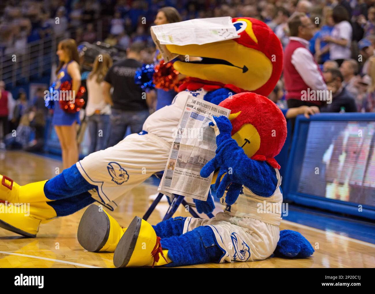 9 December 2015: Kansas mascots as the visiting team is introduced ...