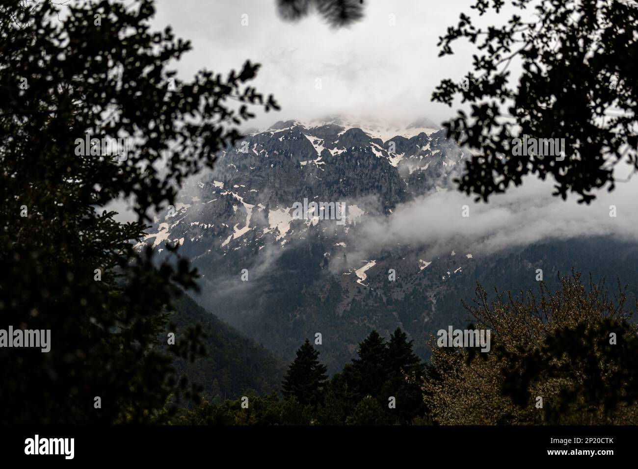 Mountain landscape with cut tree trunks Stock Photo - Alamy