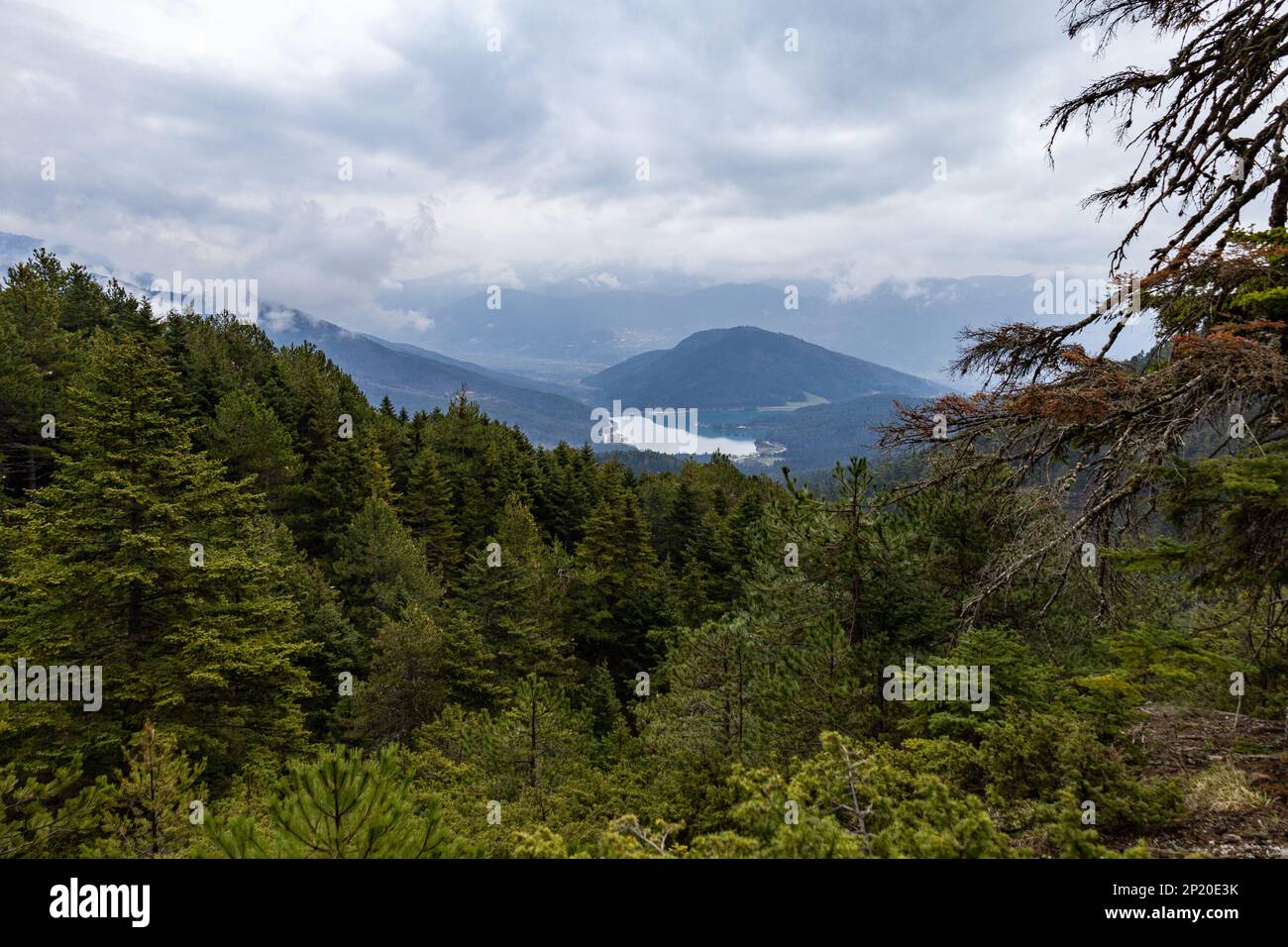 Mountain landscape with cut tree trunks Stock Photo - Alamy
