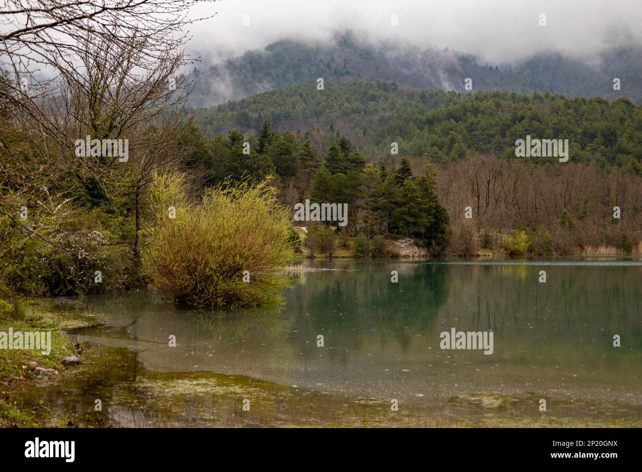 Mountain landscape with cut tree trunks Stock Photo - Alamy