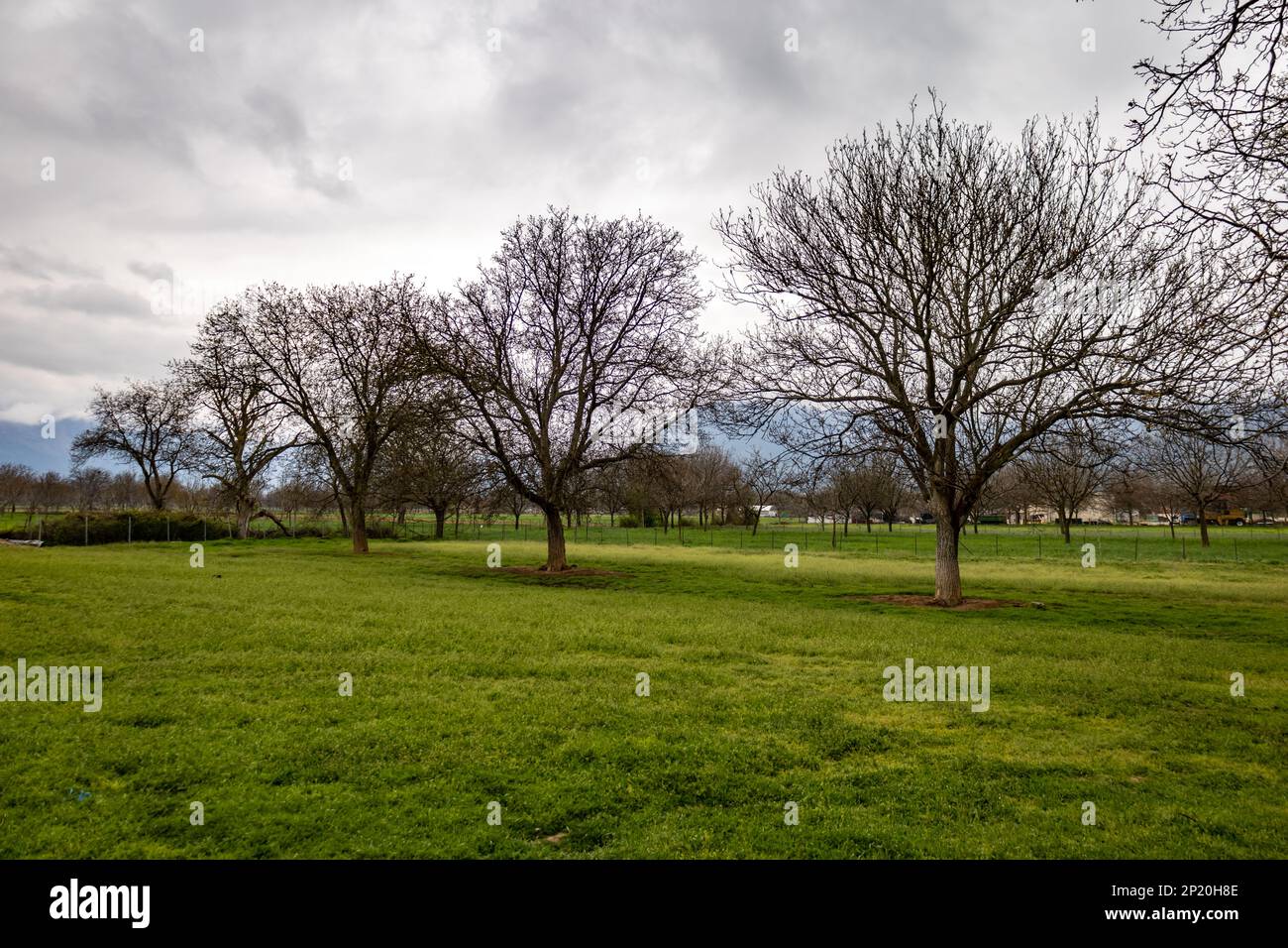 Mountain landscape with cut tree trunks Stock Photo - Alamy
