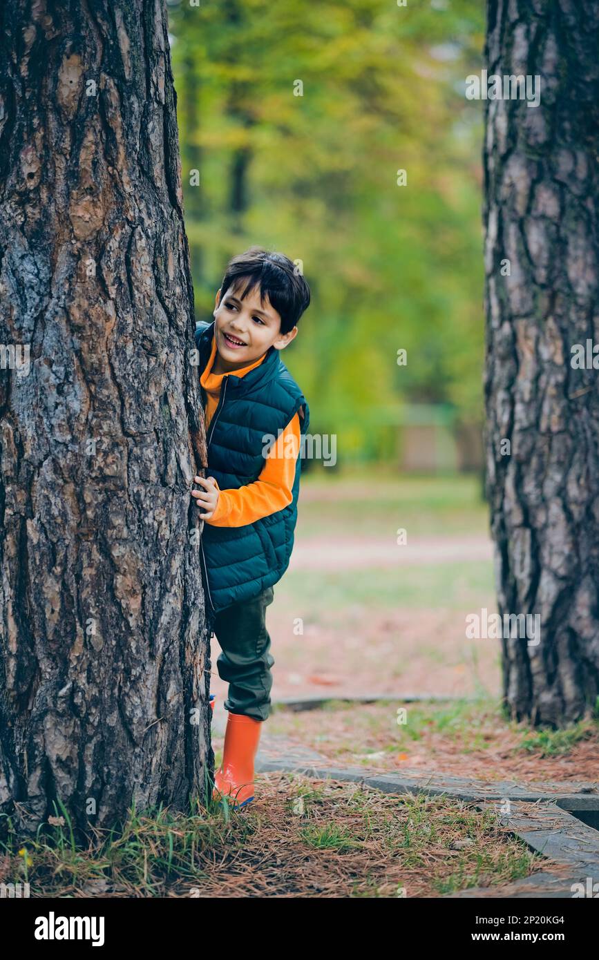 Looks out from behind a tree hi-res stock photography and images - Alamy