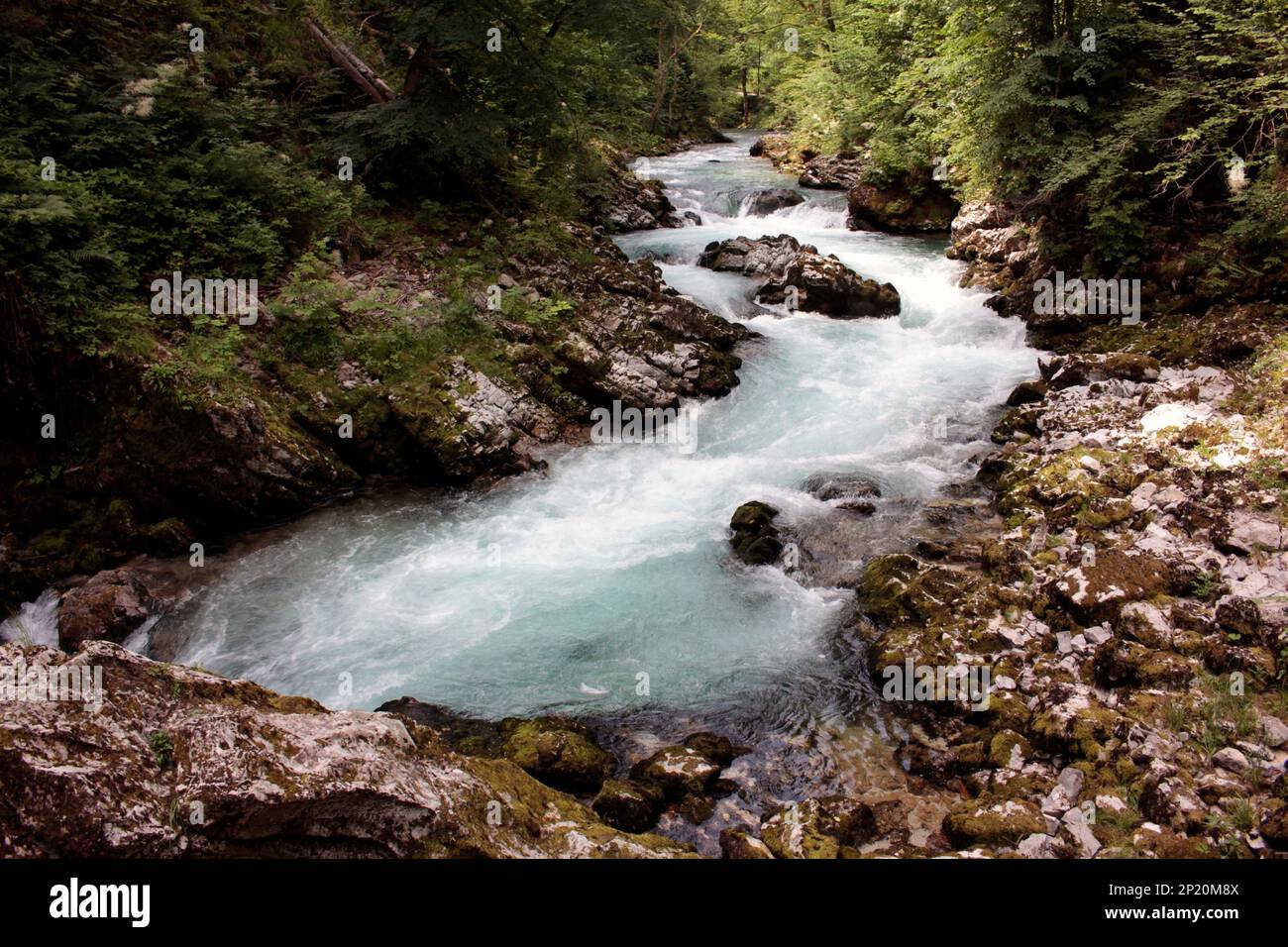 Stunning Vintgar Gorge, Bled, Slovenia Stock Photo - Alamy