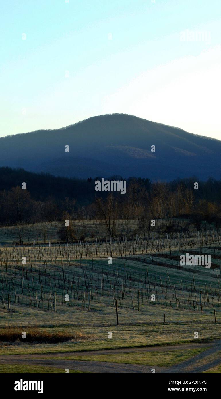 Oasis Winery says in their brochure that they are rated top 10 in the ...