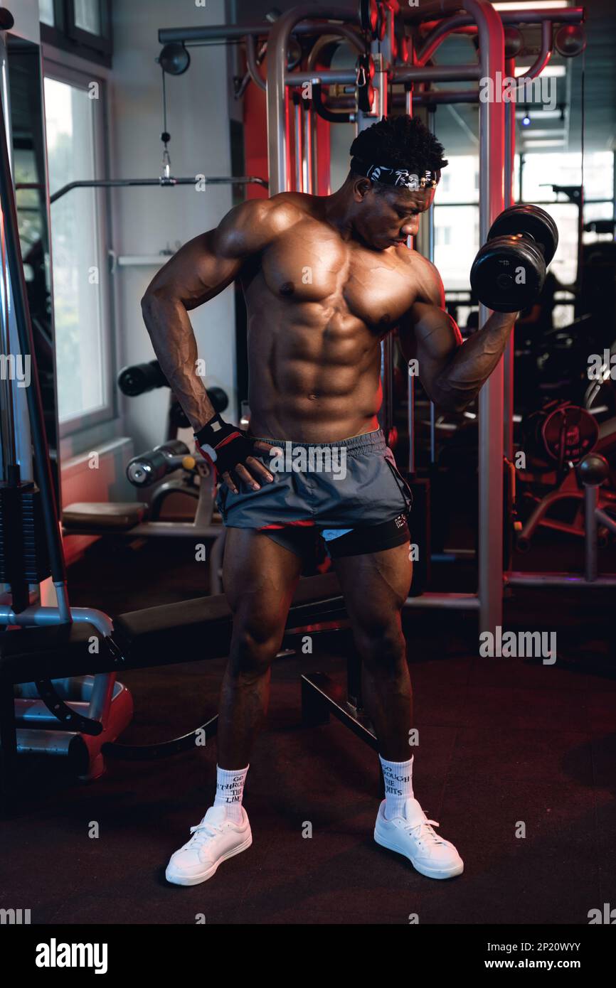 20s Black and muscular man in a gym doing biceps curl with a dumbbell ...