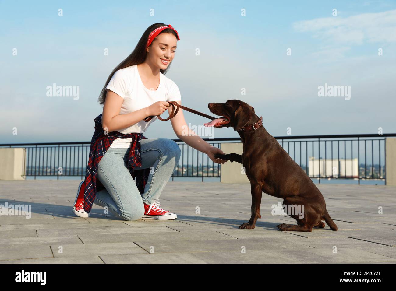 Young woman with her German Shorthaired Pointer dog on city street ...