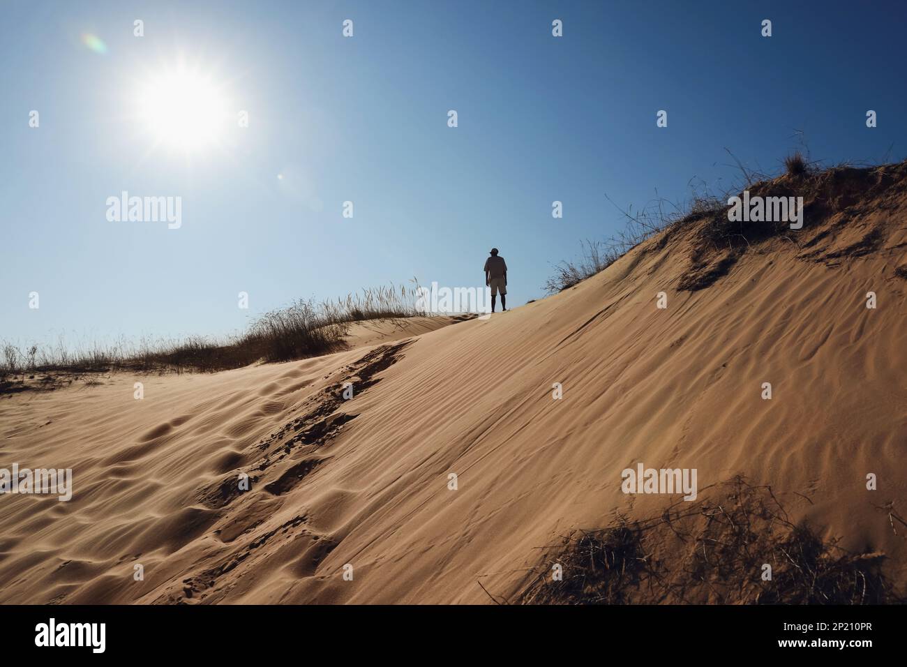 Man in desert on sunny day, back view Stock Photo - Alamy