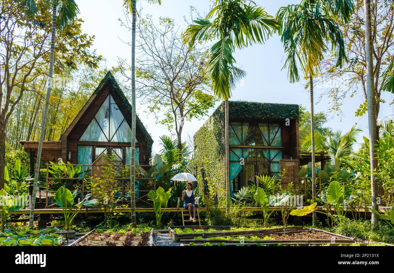 Community kitchen garden. Raised garden beds with plants in a vegetable ...