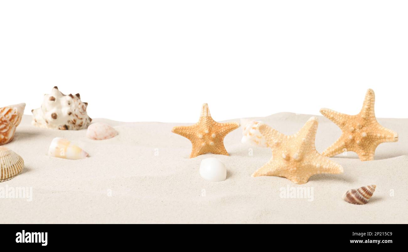 Beautiful sea stars and seashells in sand on white background Stock ...