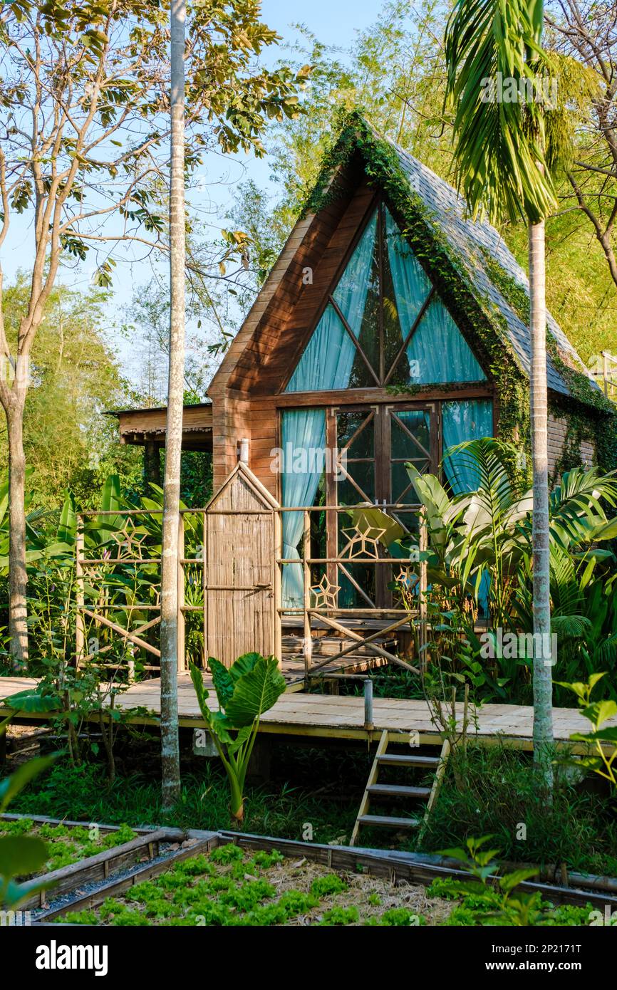 wooden cottage surrounded by palm trees and a vegetable garden in the ...