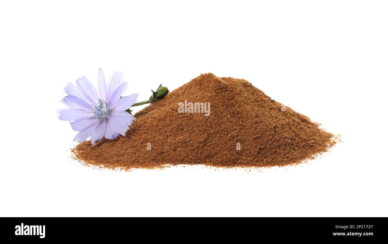 Pile of chicory powder and flower on white background Stock Photo - Alamy