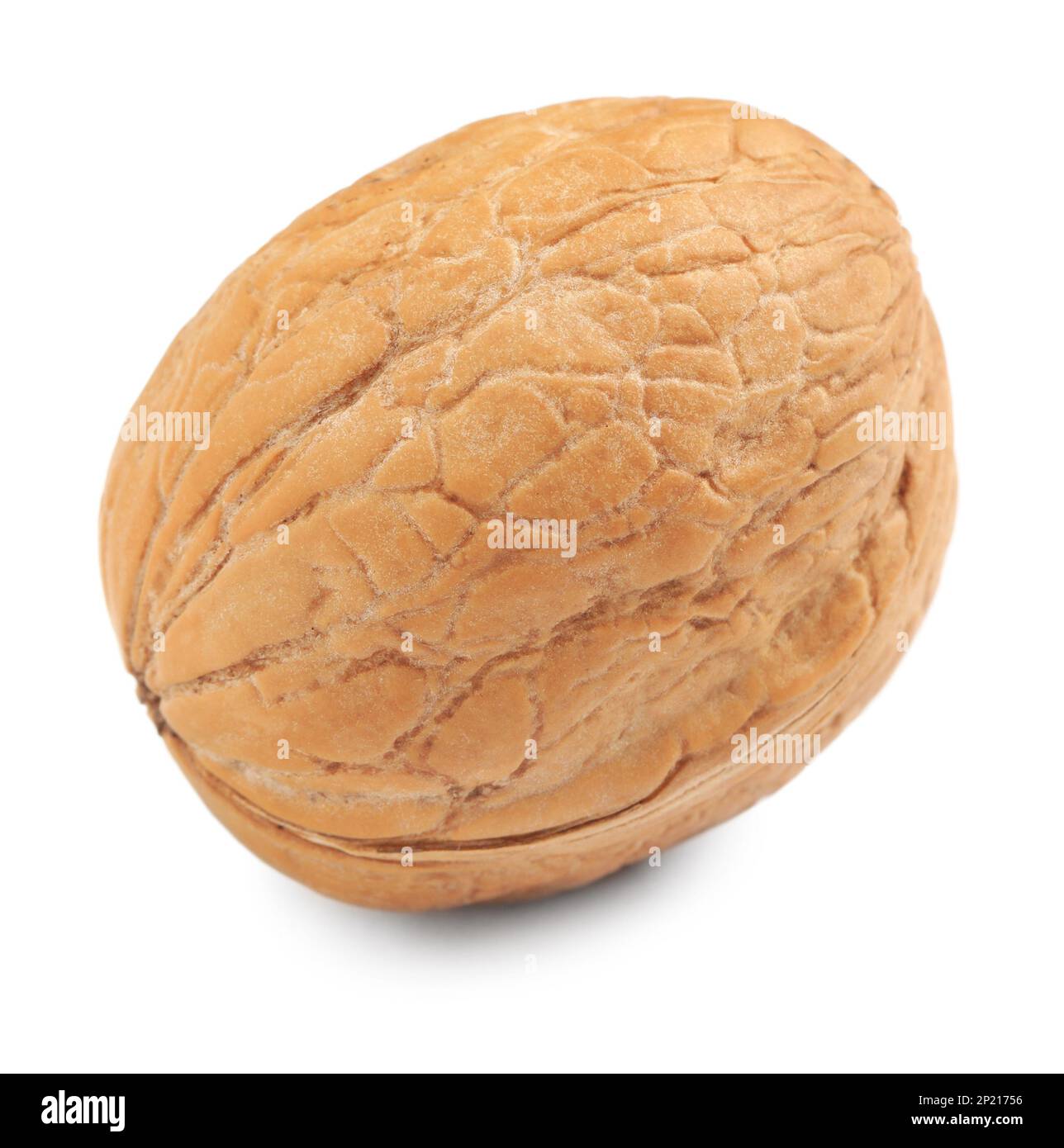 Whole walnut in shell isolated on white Stock Photo - Alamy