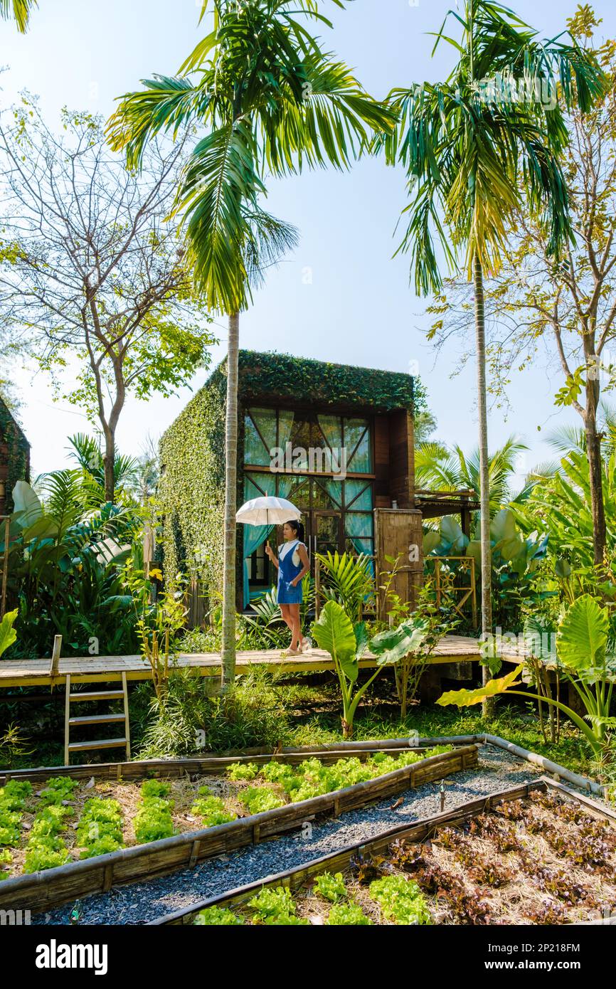 Asian women walk with umbrella at a wooden cottage surrounded by palm ...