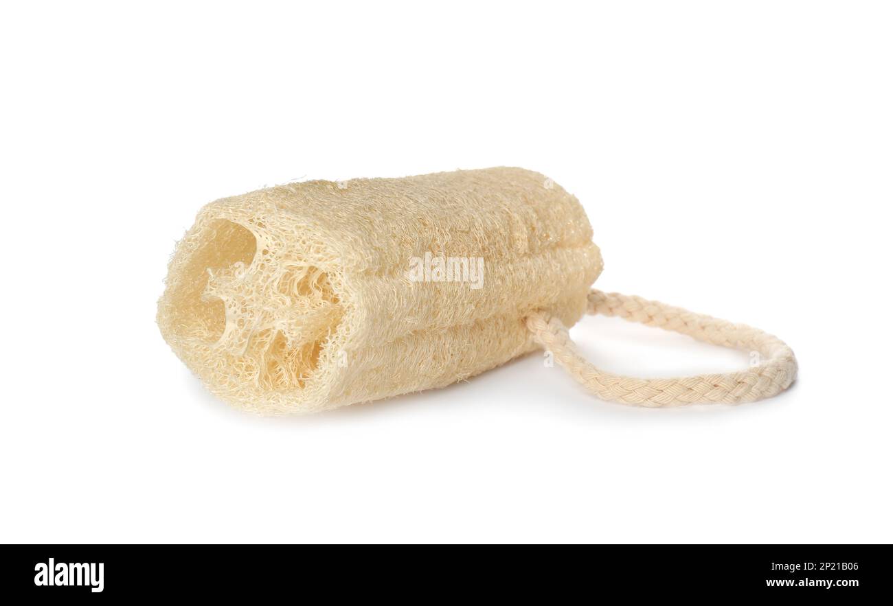 One natural loofah sponge hi-res stock photography and images - Alamy