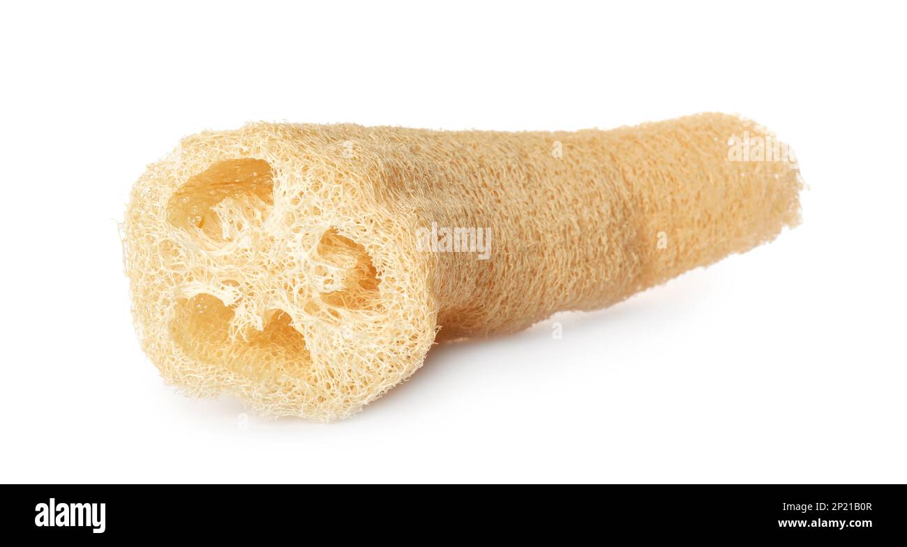 One natural loofah sponge isolated on white Stock Photo - Alamy