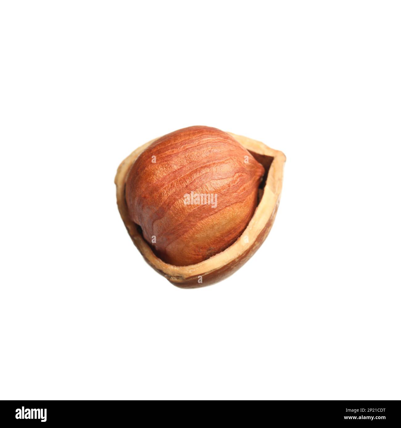 Hazelnut in shell hi-res stock photography and images - Alamy