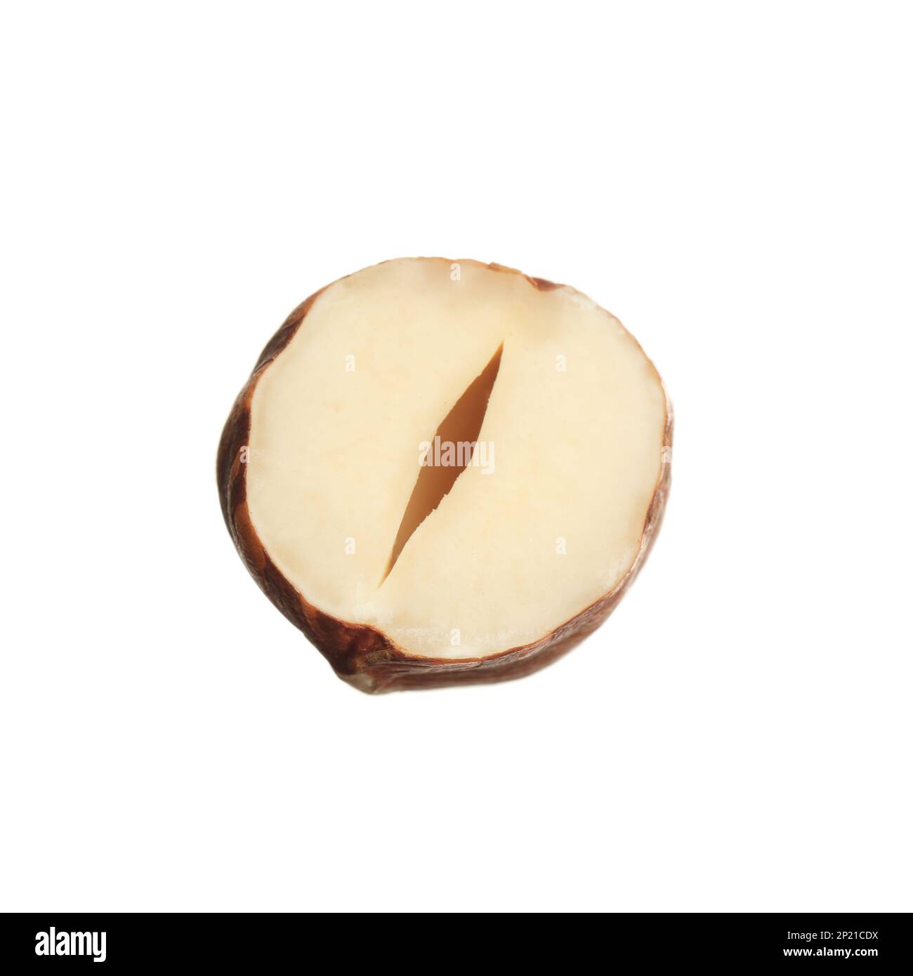 Half of tasty hazelnut isolated on white Stock Photo - Alamy