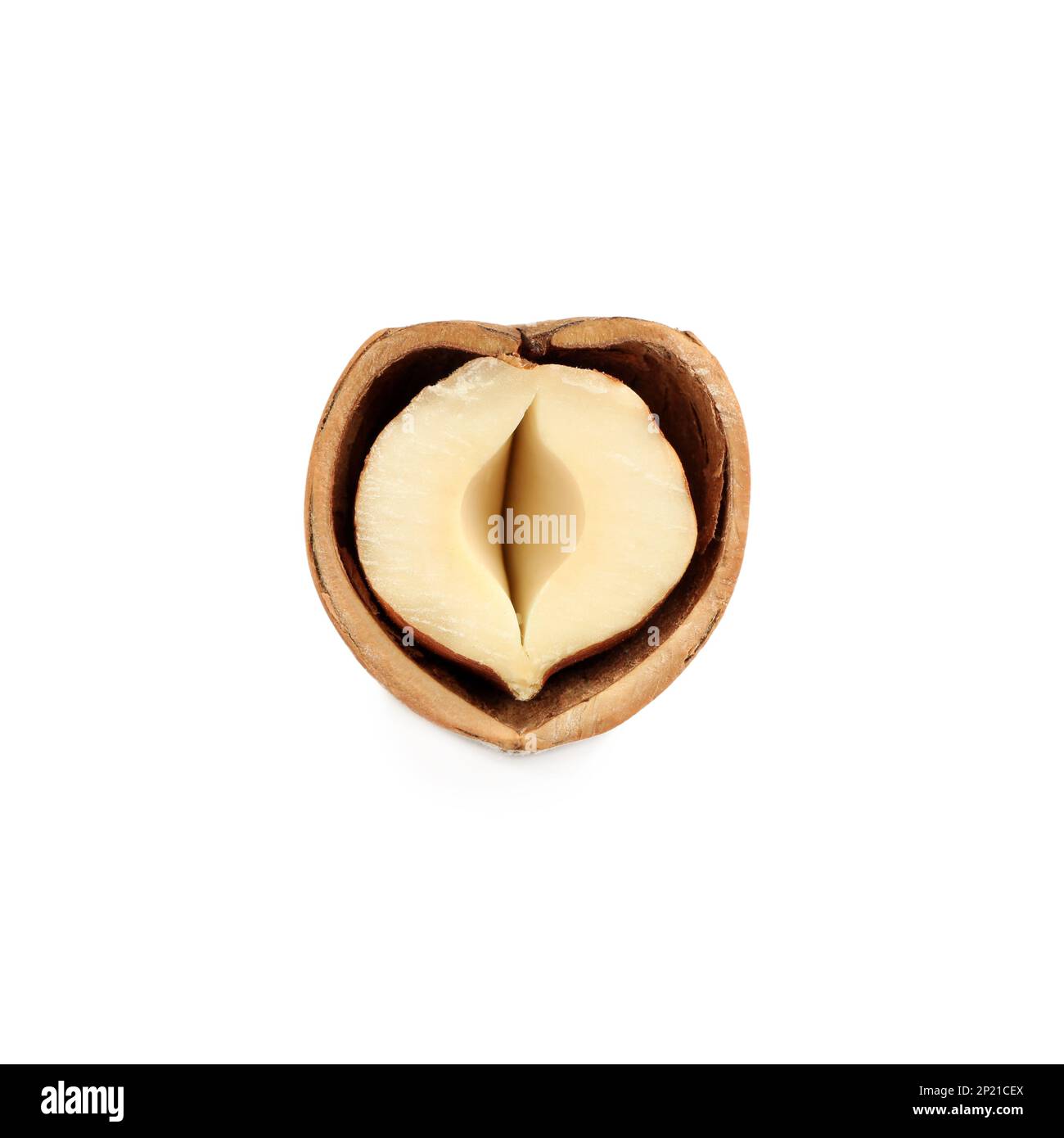 Half of tasty organic hazelnut in shell on white background Stock Photo ...