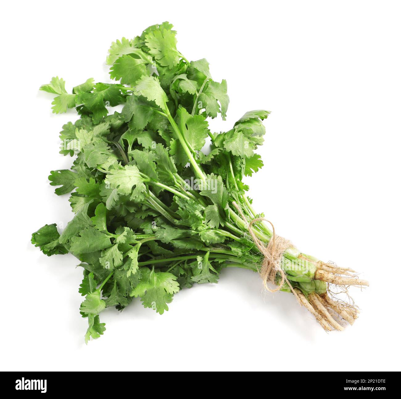 Bunch of fresh coriander on white background, top view Stock Photo - Alamy