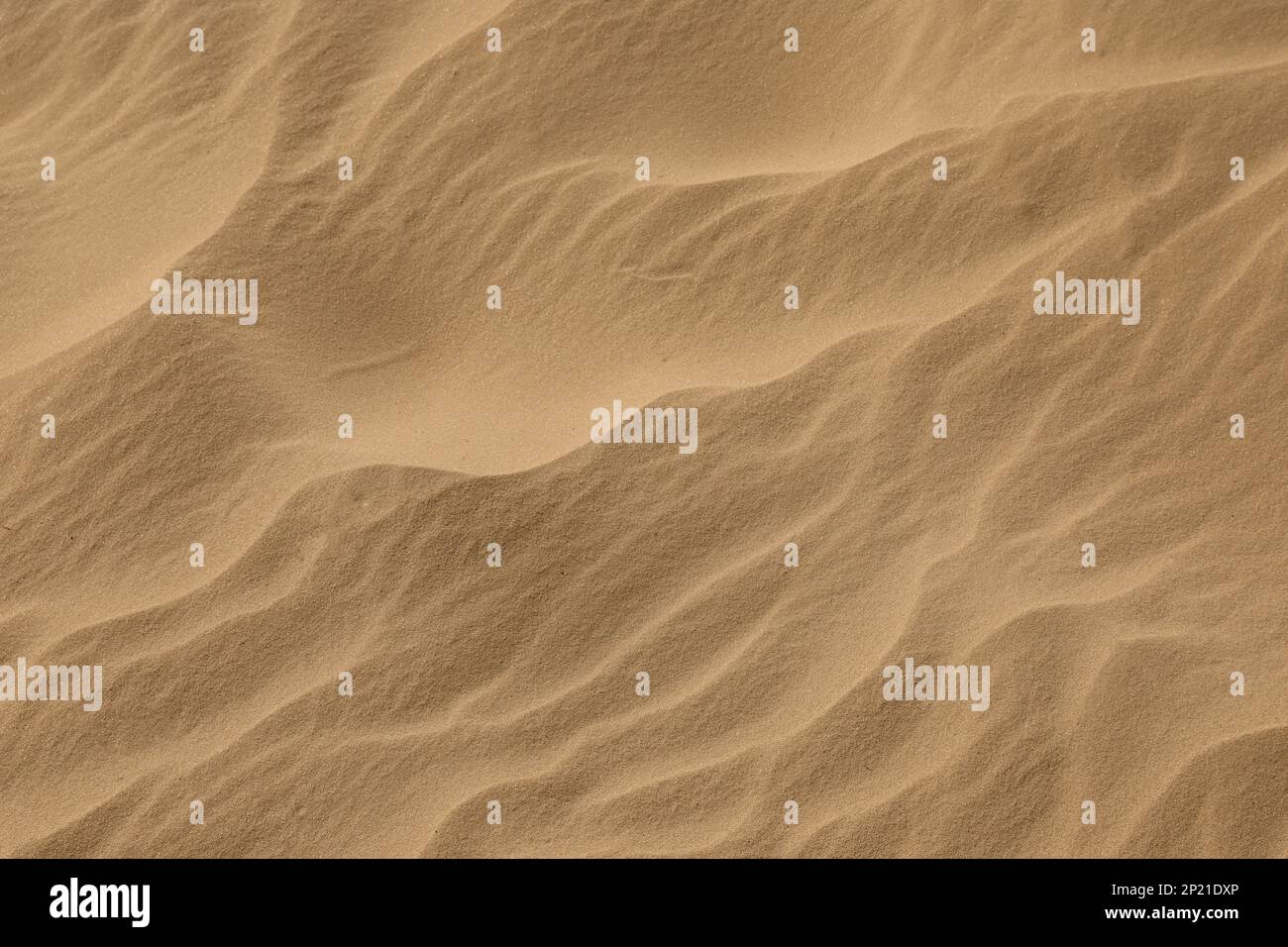 Closeup view of sand dune in desert as background Stock Photo - Alamy