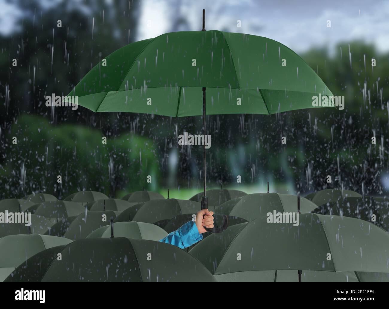 Person holding umbrella over other under heavy rain outdoors Stock ...