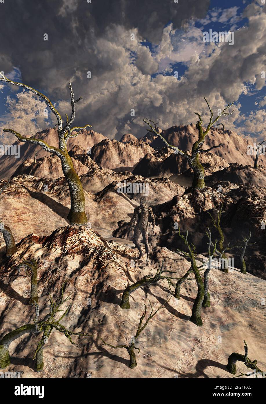 Ancient wilderness hi-res stock photography and images - Alamy