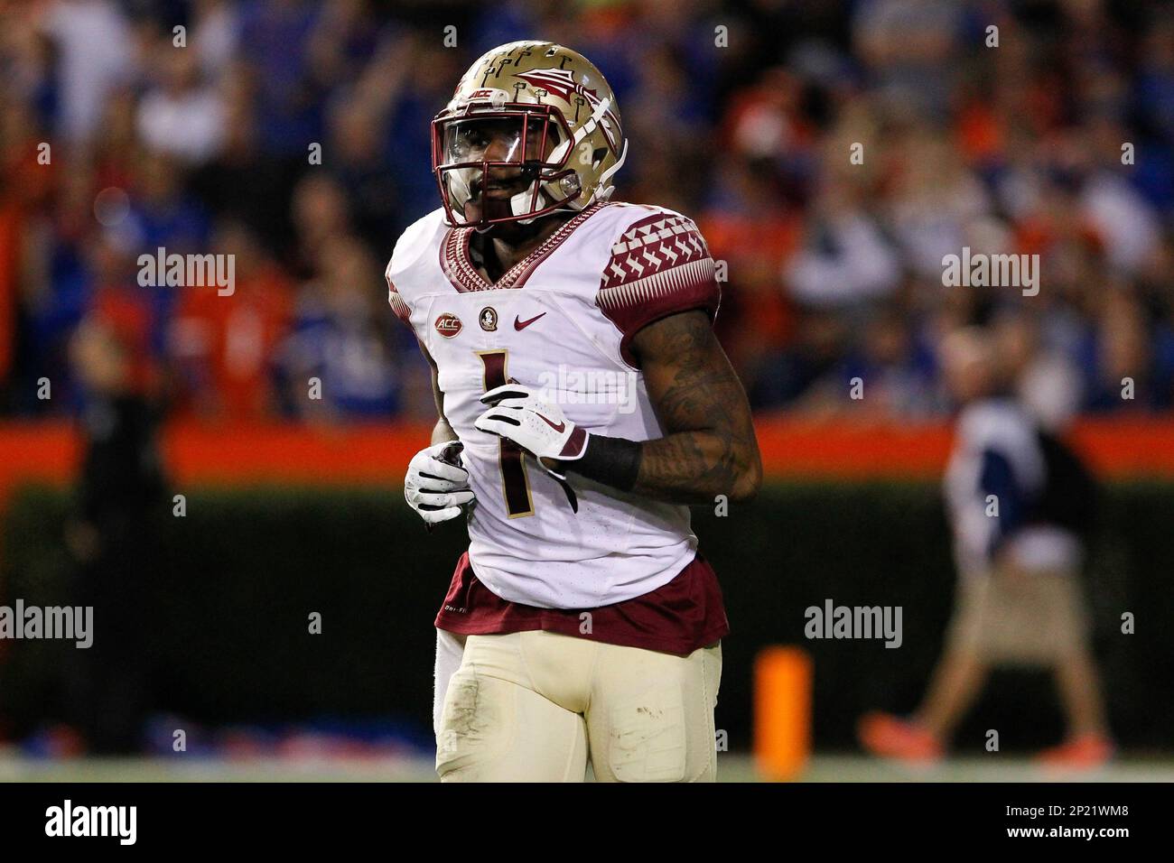 28 November 2015: Florida State Seminoles defensive back Tyler Hunter ...
