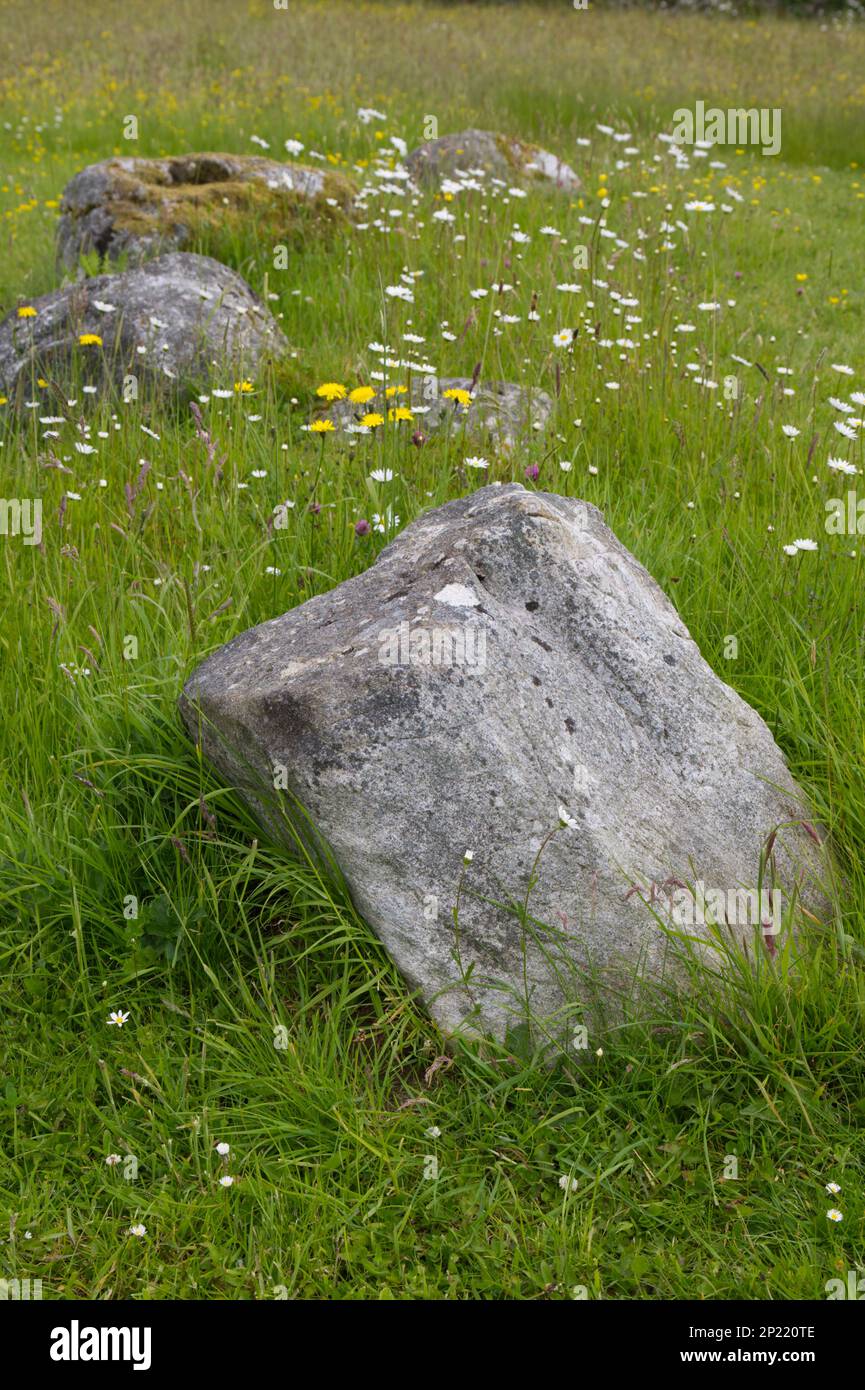 Carrowmore Megalithic Cemetery EIRE Stock Photo - Alamy