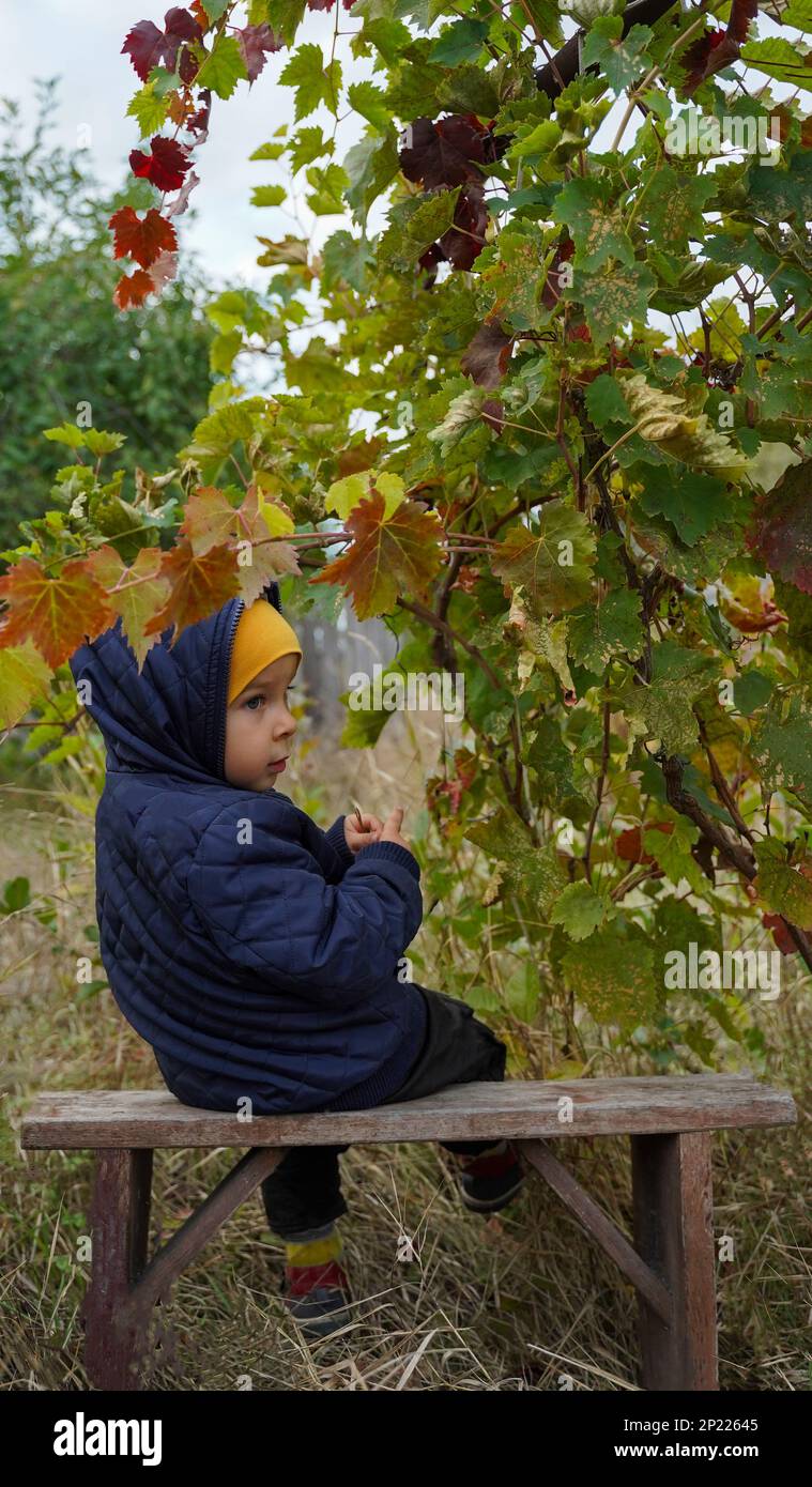 A lonely little boy on a bench in a garden waiting Stock Photo - Alamy