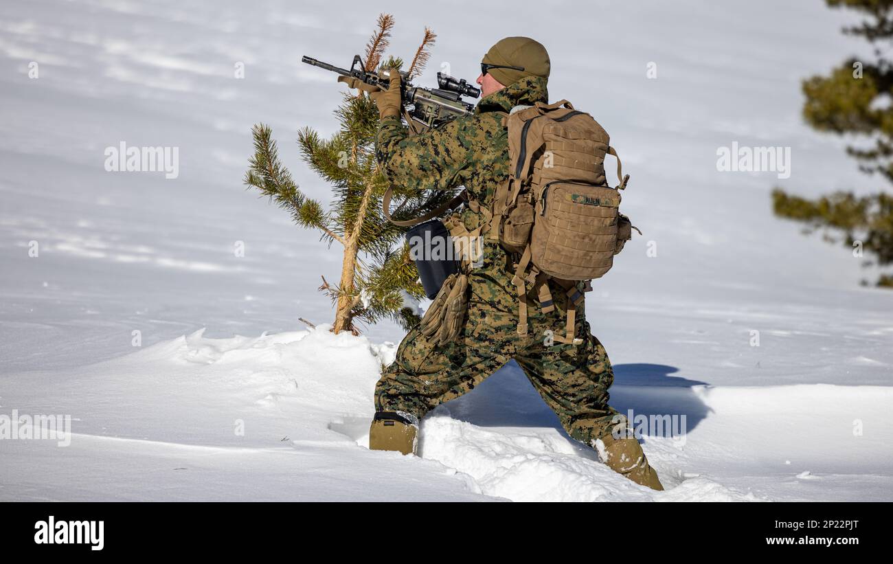 U.S. Marine Corps Cpl. Dylan Auen, a mortarman with 2d Battalion, 8th ...
