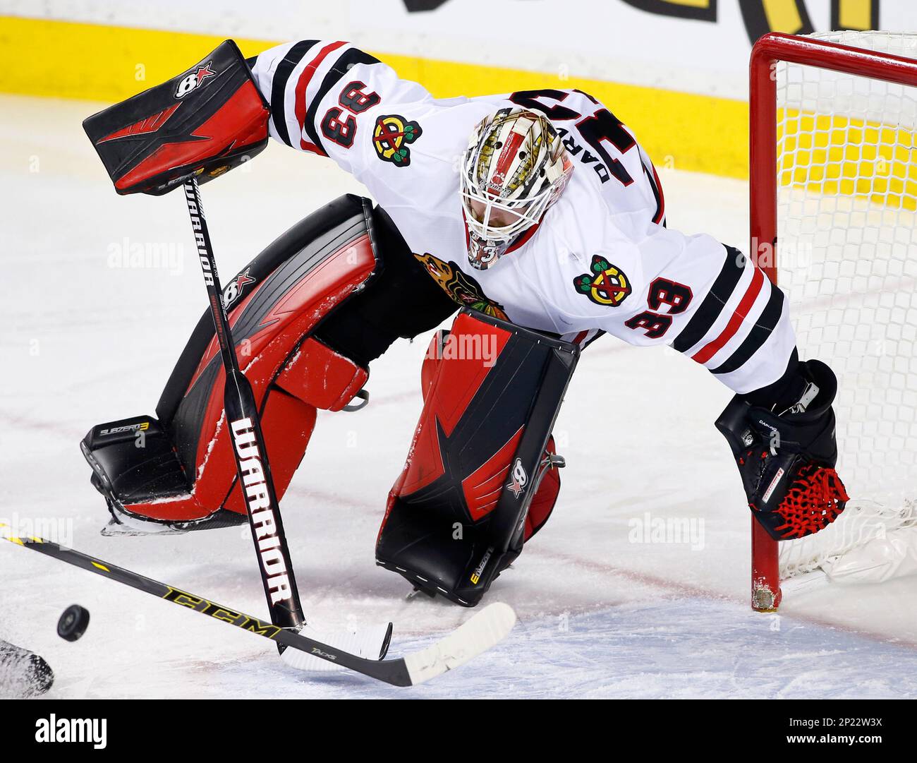 NHL profile photo on Chicago Blackhawks' goalie Scott Darling at a game ...