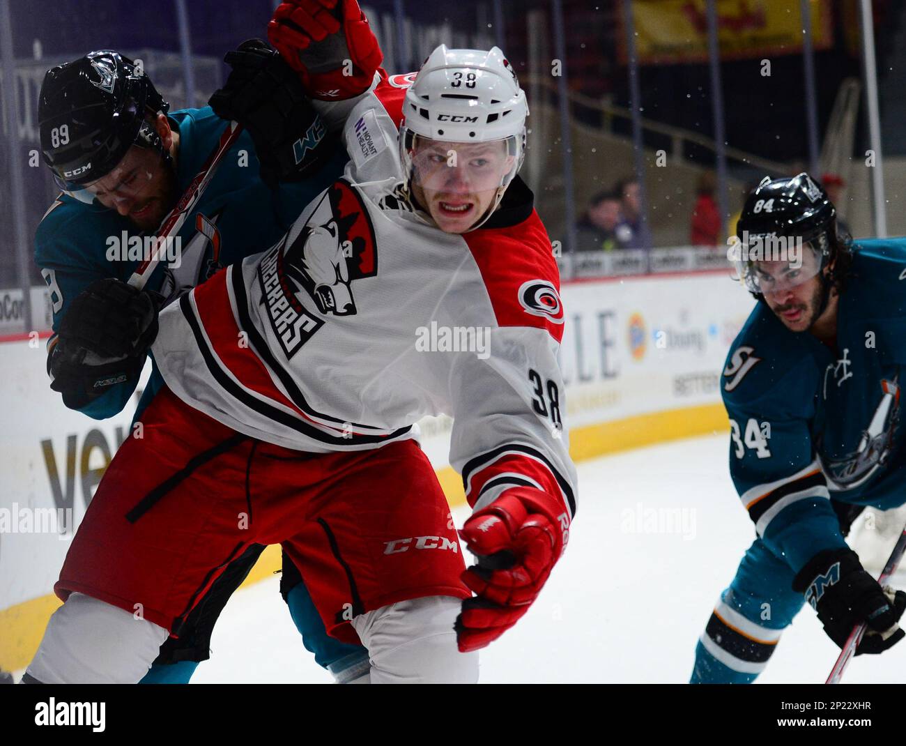 Checkers C David Wohlberg (38) during the AHL game between the San Jose ...