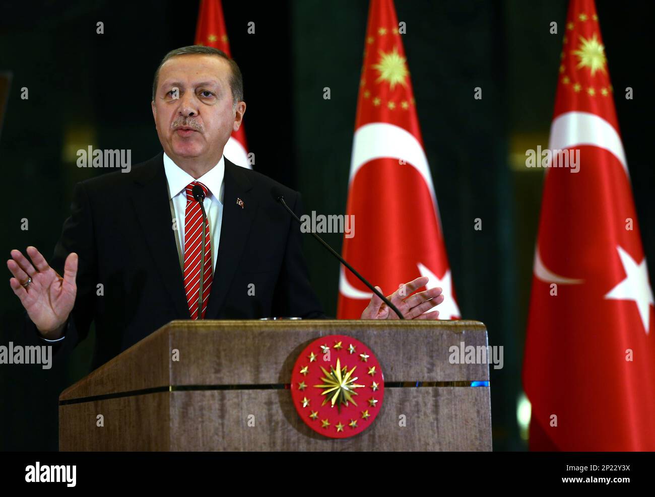 Turkish President Recep Tayyip Erdogan speaks during a meeting at the ...