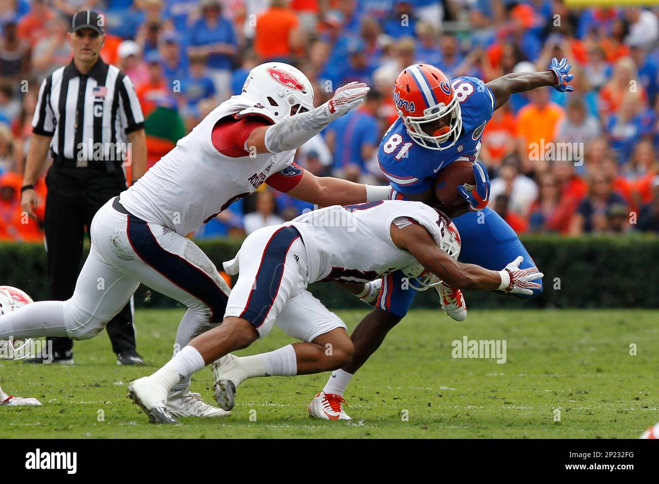 21 November 2015: Florida Gators wide receiver Antonio Callaway (81) is ...