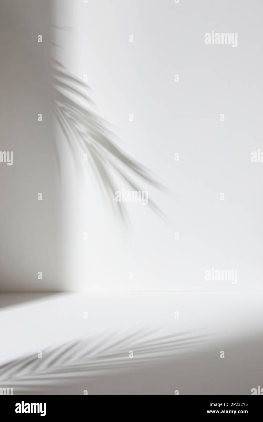 Monotone background hi-res stock photography and images - Alamy