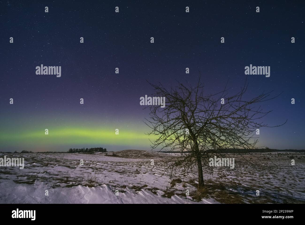 4k night time lapse stars hi-res stock photography and images - Alamy