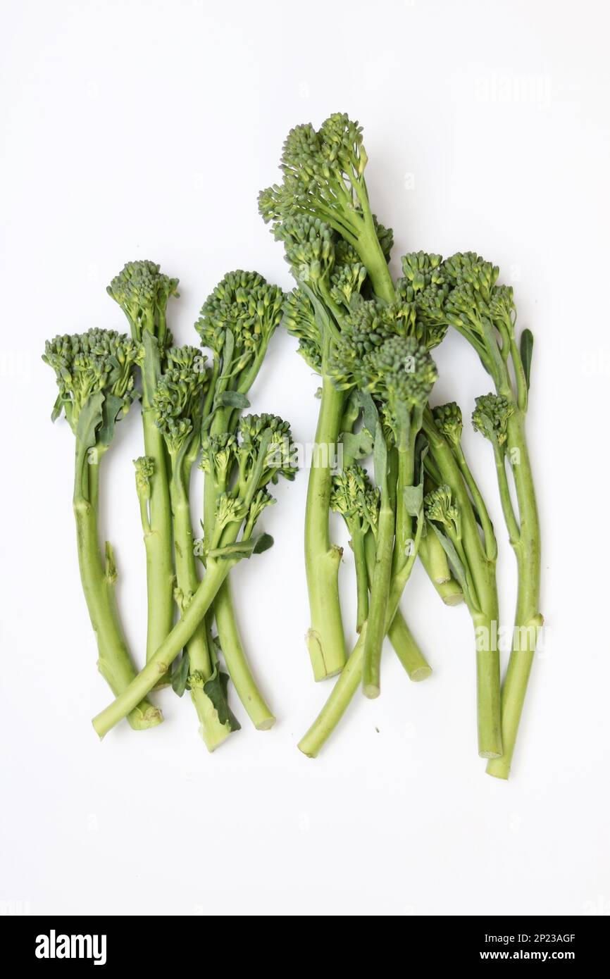 Row of sprigs of tenderstem broccoli against plain white background ...