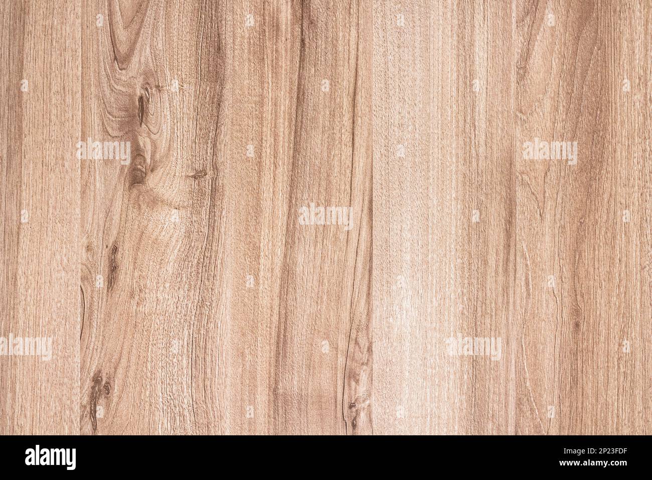 Wood texture background. Light brown surface of old knotted wood with ...
