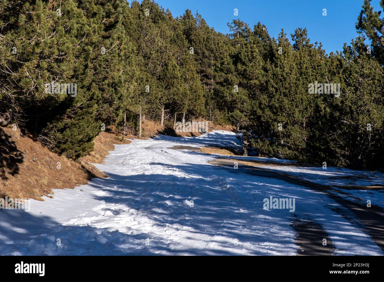 Cabeceras del Ter and Freser Natural Park, Girona,Spain Stock Photo - Alamy