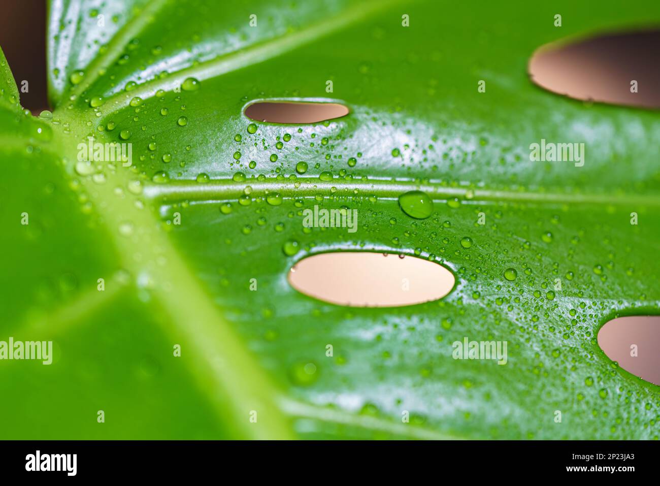 Bad water bad cloth hi-res stock photography and images - Alamy