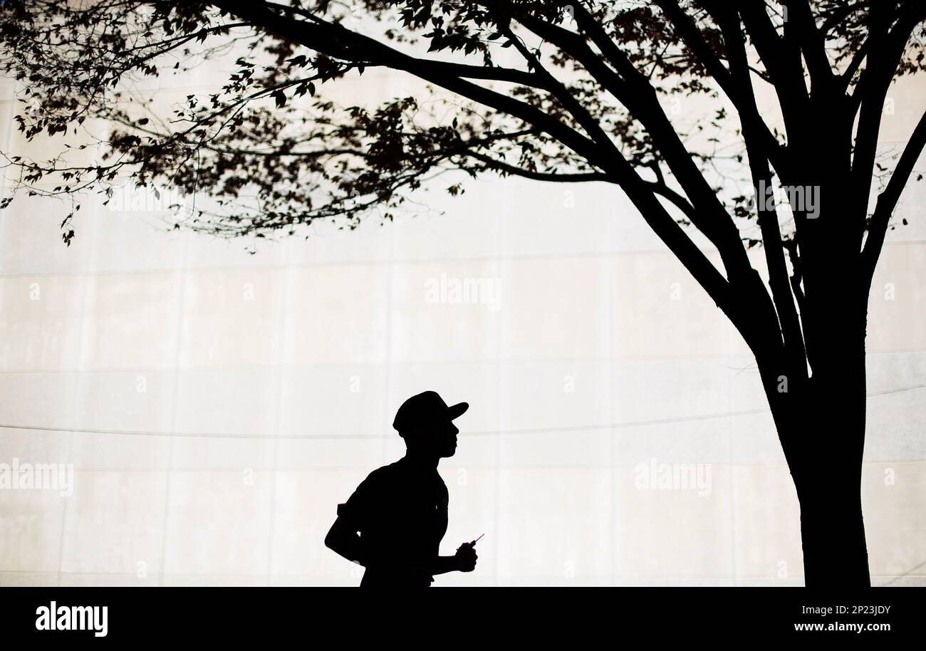 A pedestrian running past a tree is silhouetted against the setting sun ...