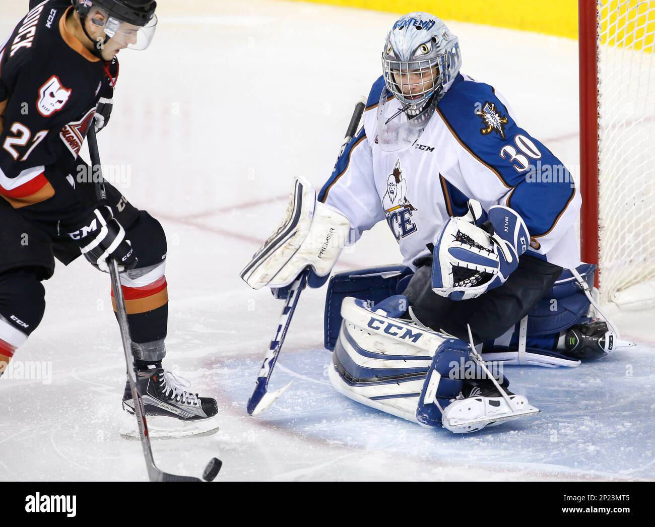WHL (Western Hockey League) player profile photo on Kootenay Ice's ...